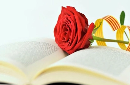 25 llibres amb història per regalar aquest Sant Jordi