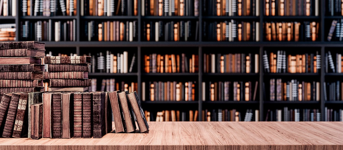 Sapiens.cat - Tot és història